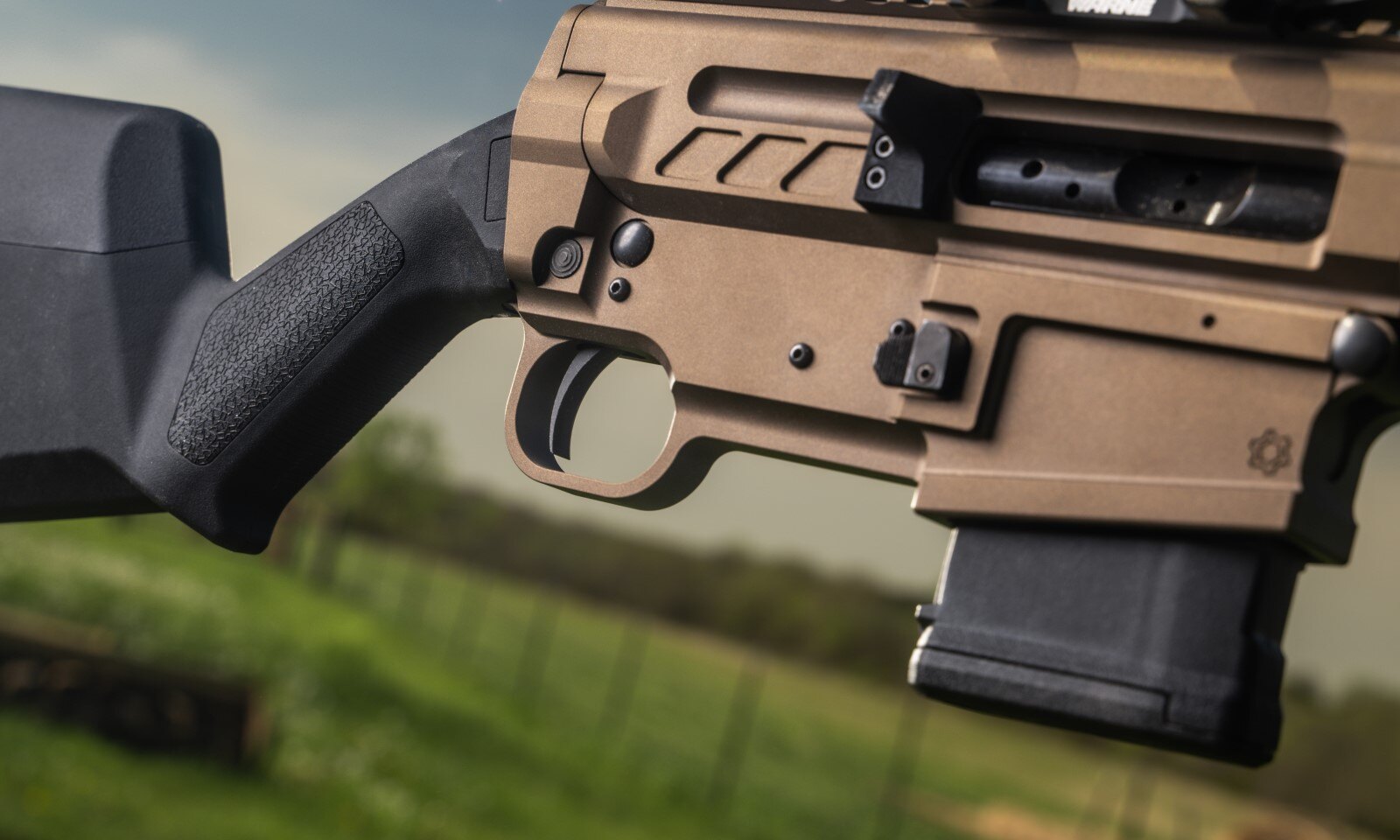 The Rifle For Every State